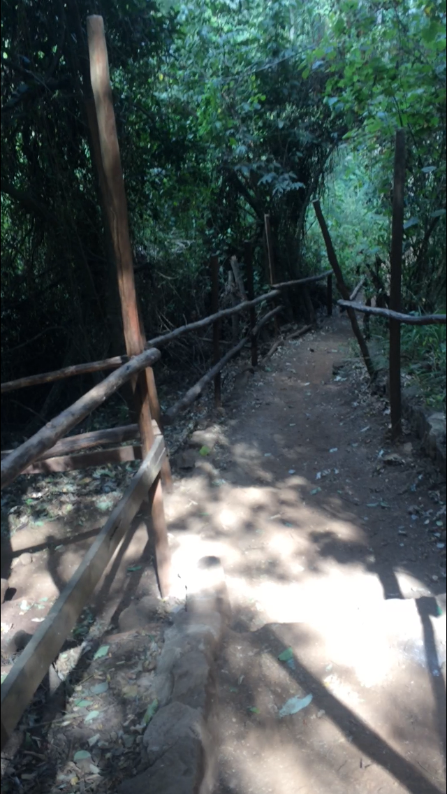 The Oloolua Nature Trail - Kendirita Tours & Travel Blog