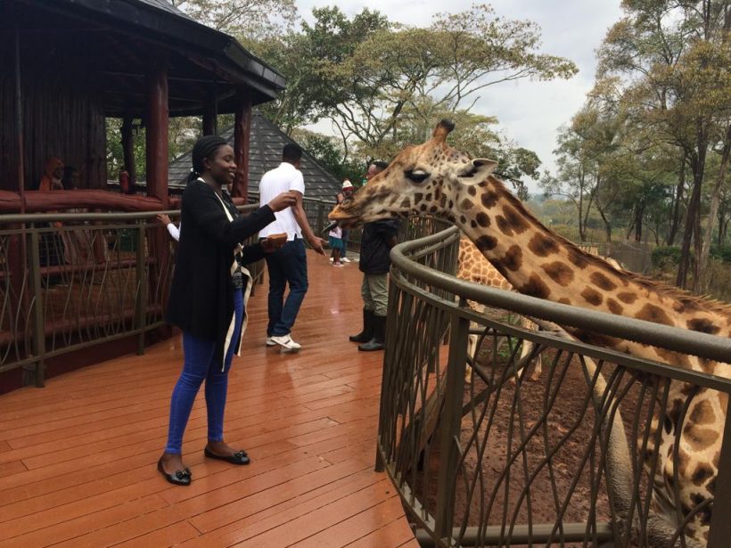 Giraffe Centre - Kendirita Tours & Travel Blog
